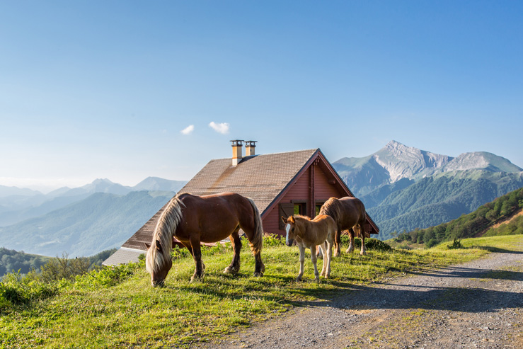 Chalets d'Iraty : la nature profonde du Pays Basque