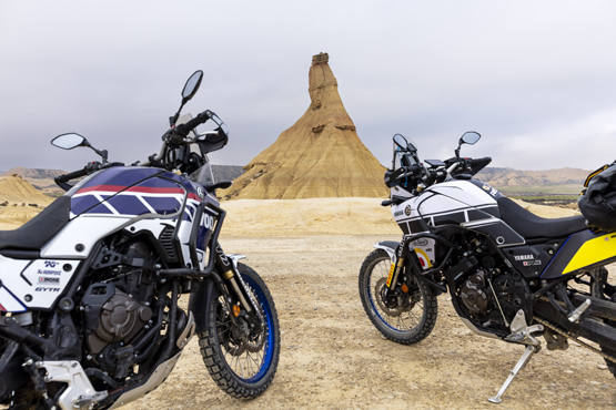 10 bars à Pintxos à découvrir sur la Côte Basque