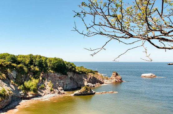 4 idées de sorties au Pays Basque pour ce week-end du 18 juin