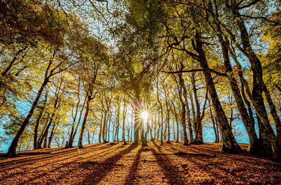4 idées de sorties au Pays Basque pour ce weekend du 29 octobre!